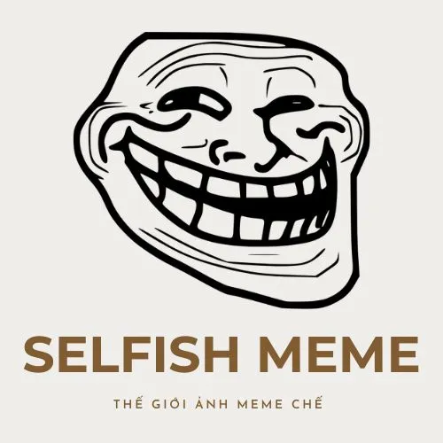 Full Web Stories tại Selfish Meme